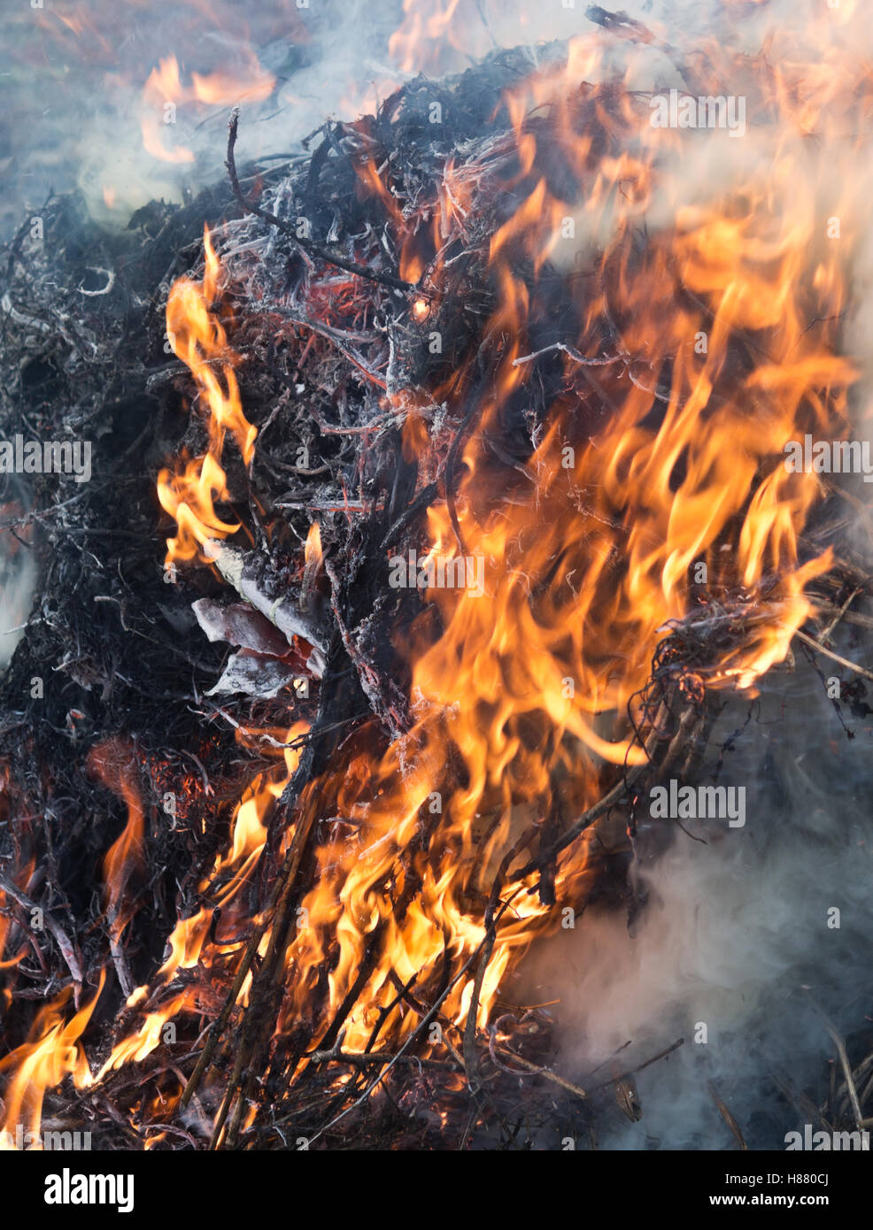close up of fire Stock Photo - Alamy