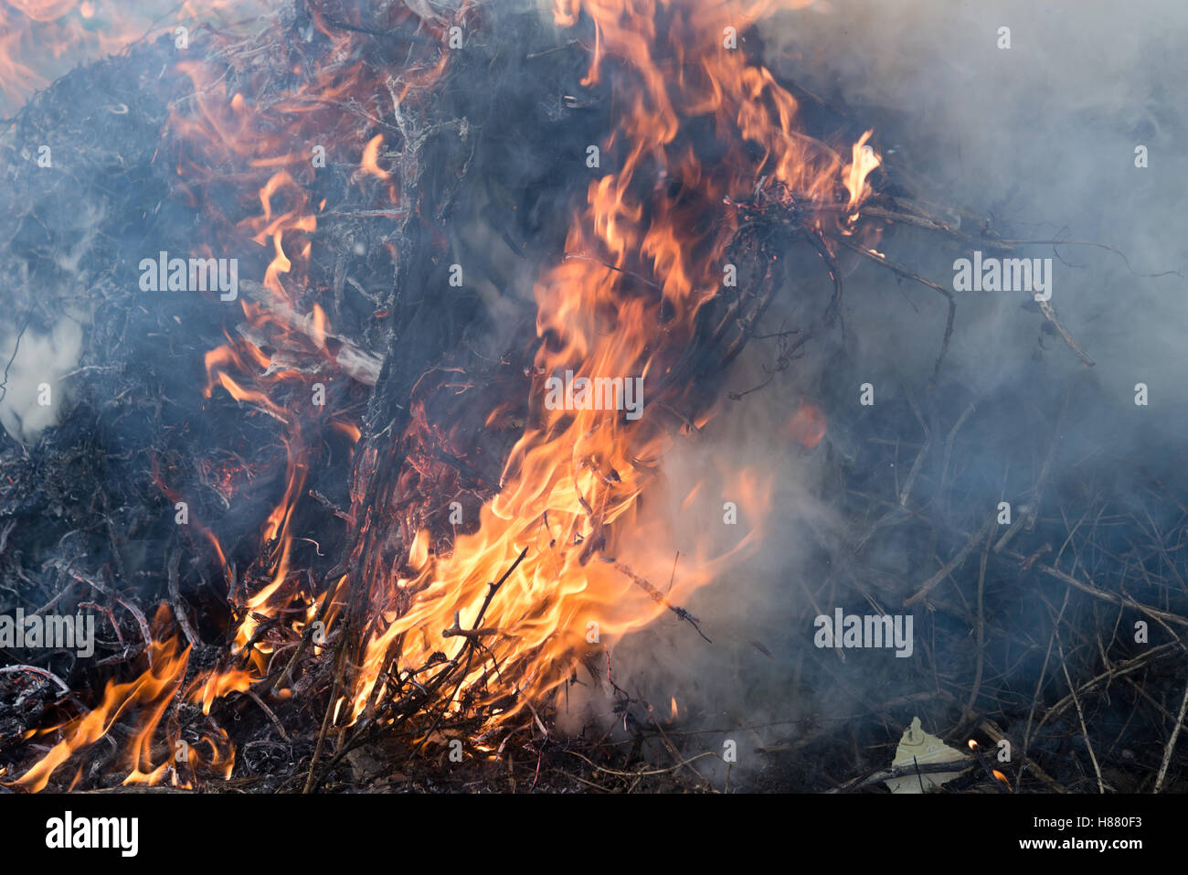 close up shot of fire Stock Photo - Alamy
