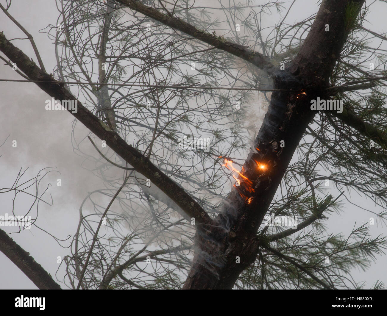 Down power line hi-res stock photography and images - Alamy