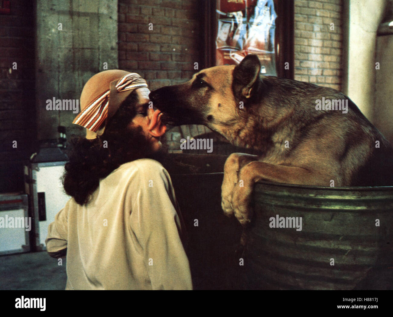 Won Ton Ton ... Der Hund, der Hollywood rettete, (WON TON TON, THE DOG ...