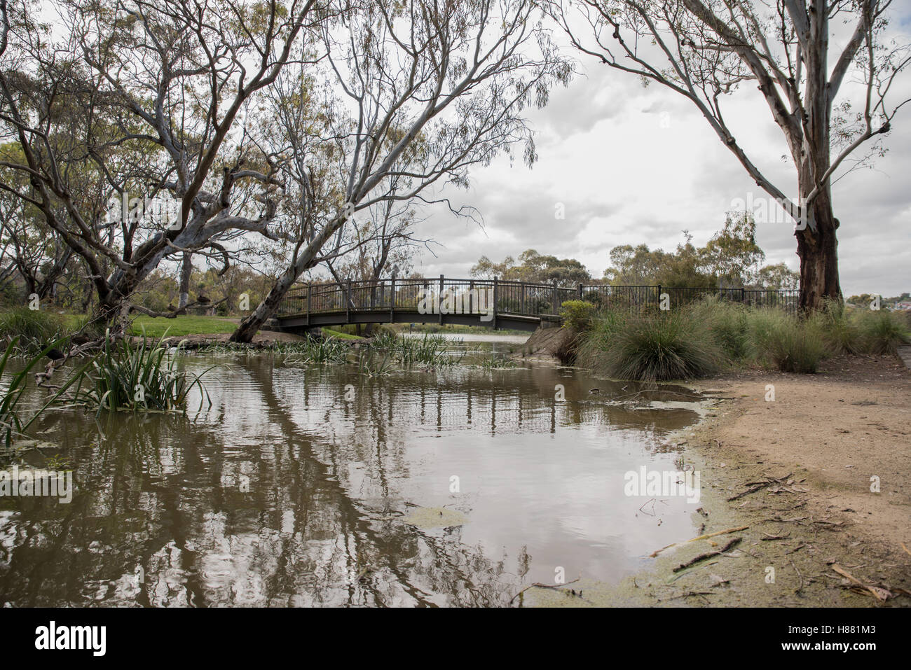 Bridge over the lake Stock Photo - Alamy