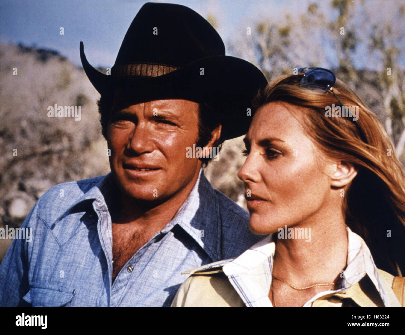Mörderspinnen, (KINGDOM OF THE SPIDERS) USA 1977, Regie: John Cardos ...