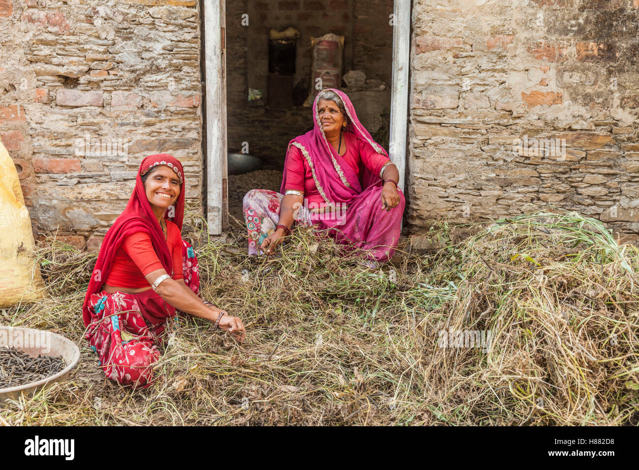 Woman busy in agriculture work Stock Photo - Alamy
