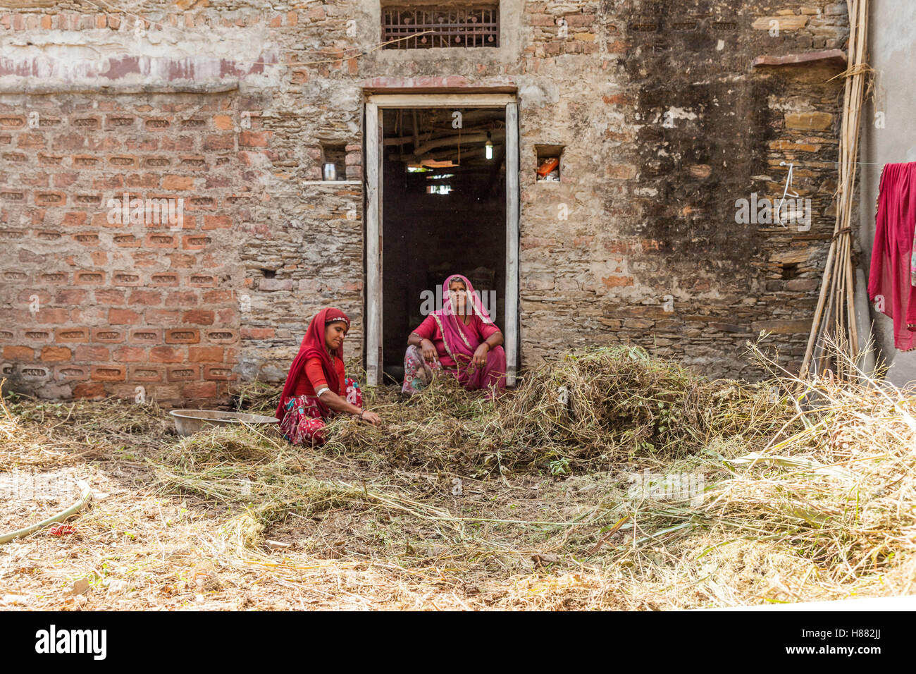 Woman busy in agriculture work Stock Photo - Alamy