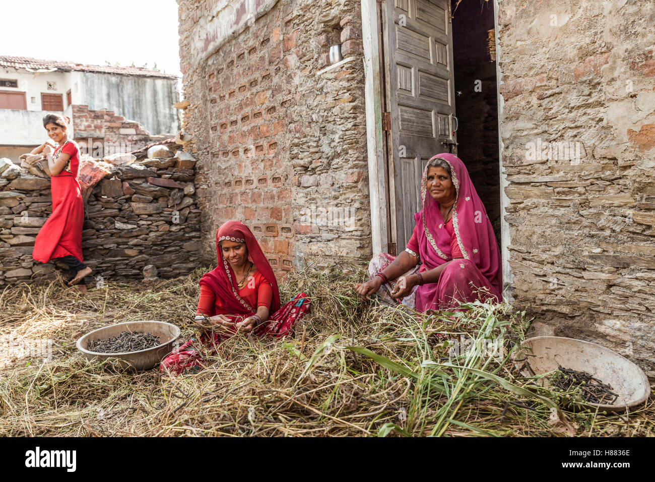 Woman busy in agriculture work Stock Photo - Alamy