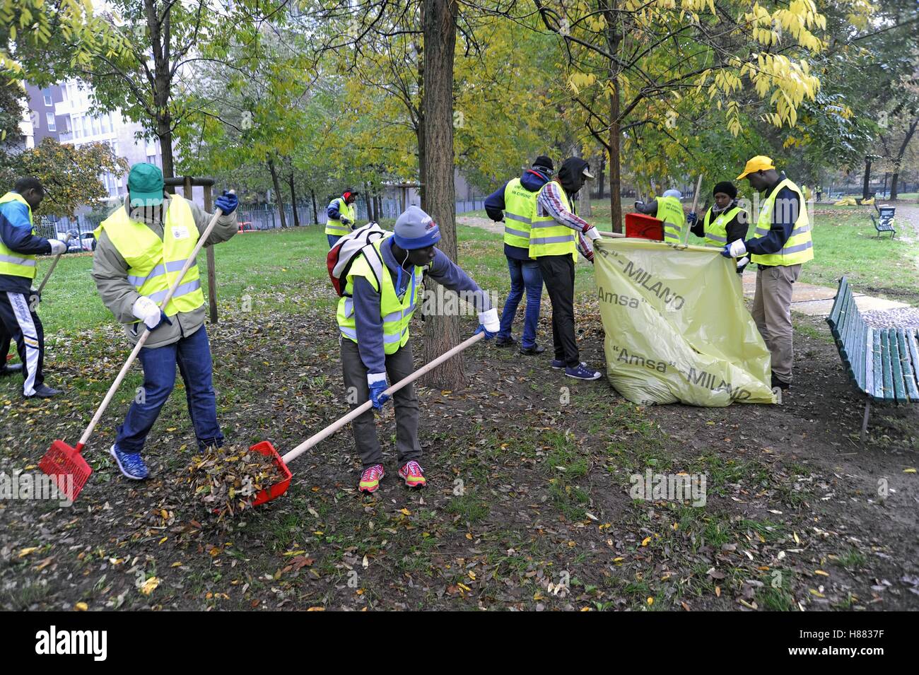 Milan, (Italy), a group of refugees and asylum seekers clean up dead ...