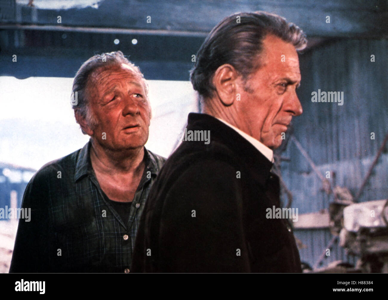 Peter collinson hi-res stock photography and images - Alamy