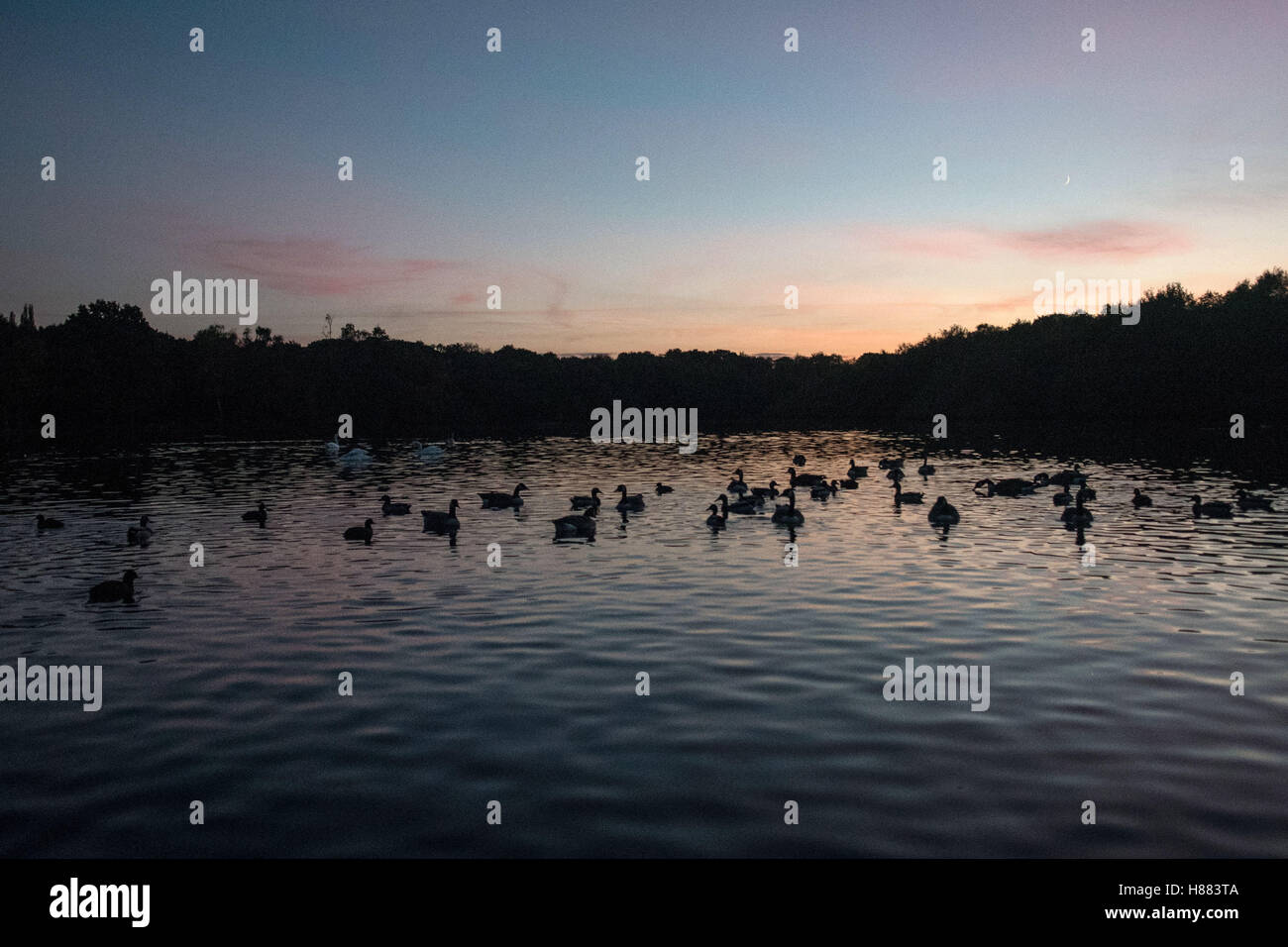 Sunset over Wyndley Pool in Sutton Park, Sutton Coldfield, West ...
