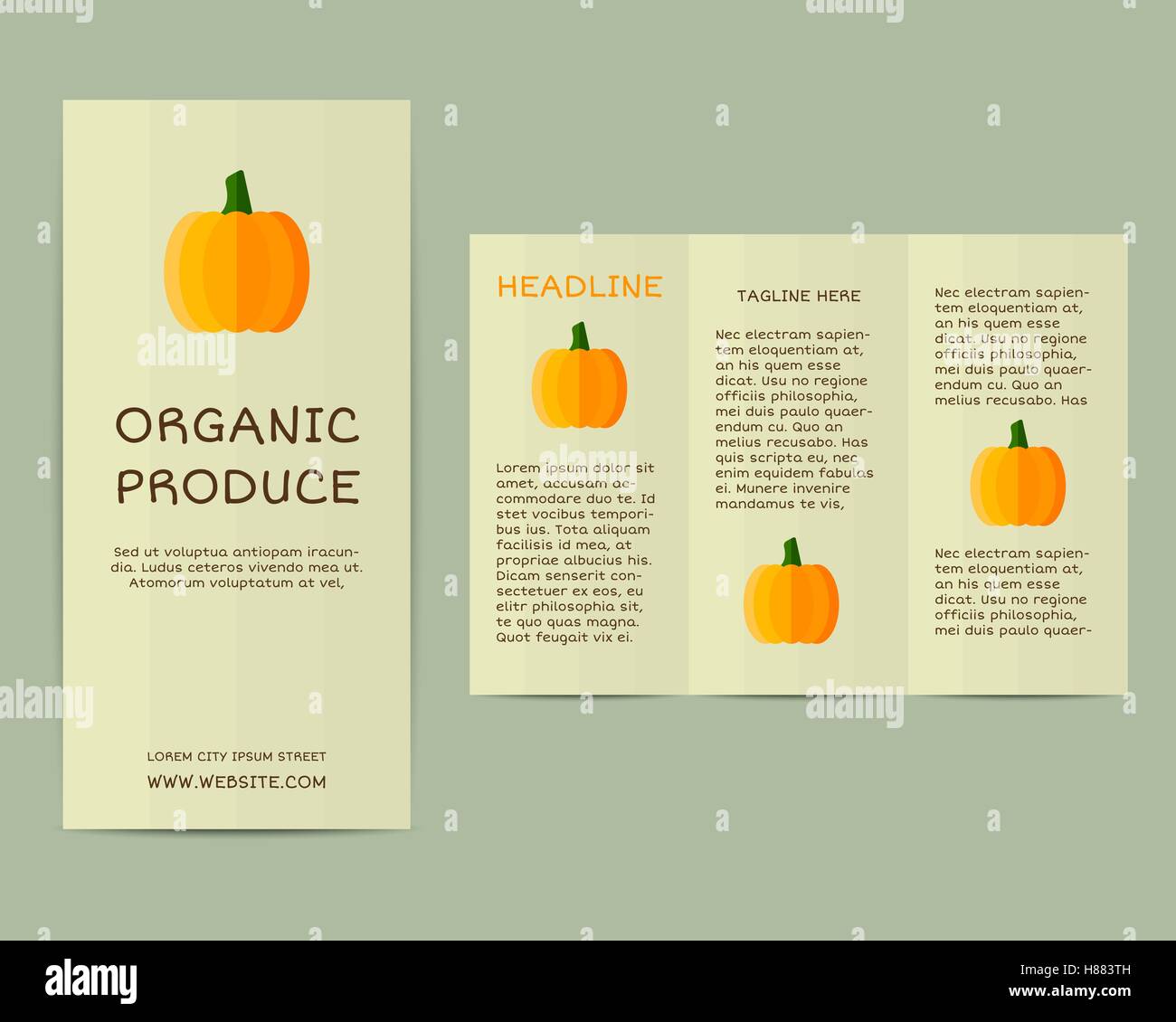 Natural business corporate identity, brochure design with pumpkin ...