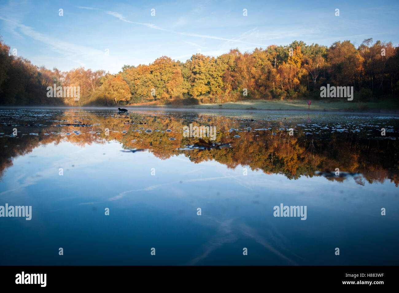 Autumn colours reflected in Keeper Pool, Sutton Park, Sutton Coldfield ...