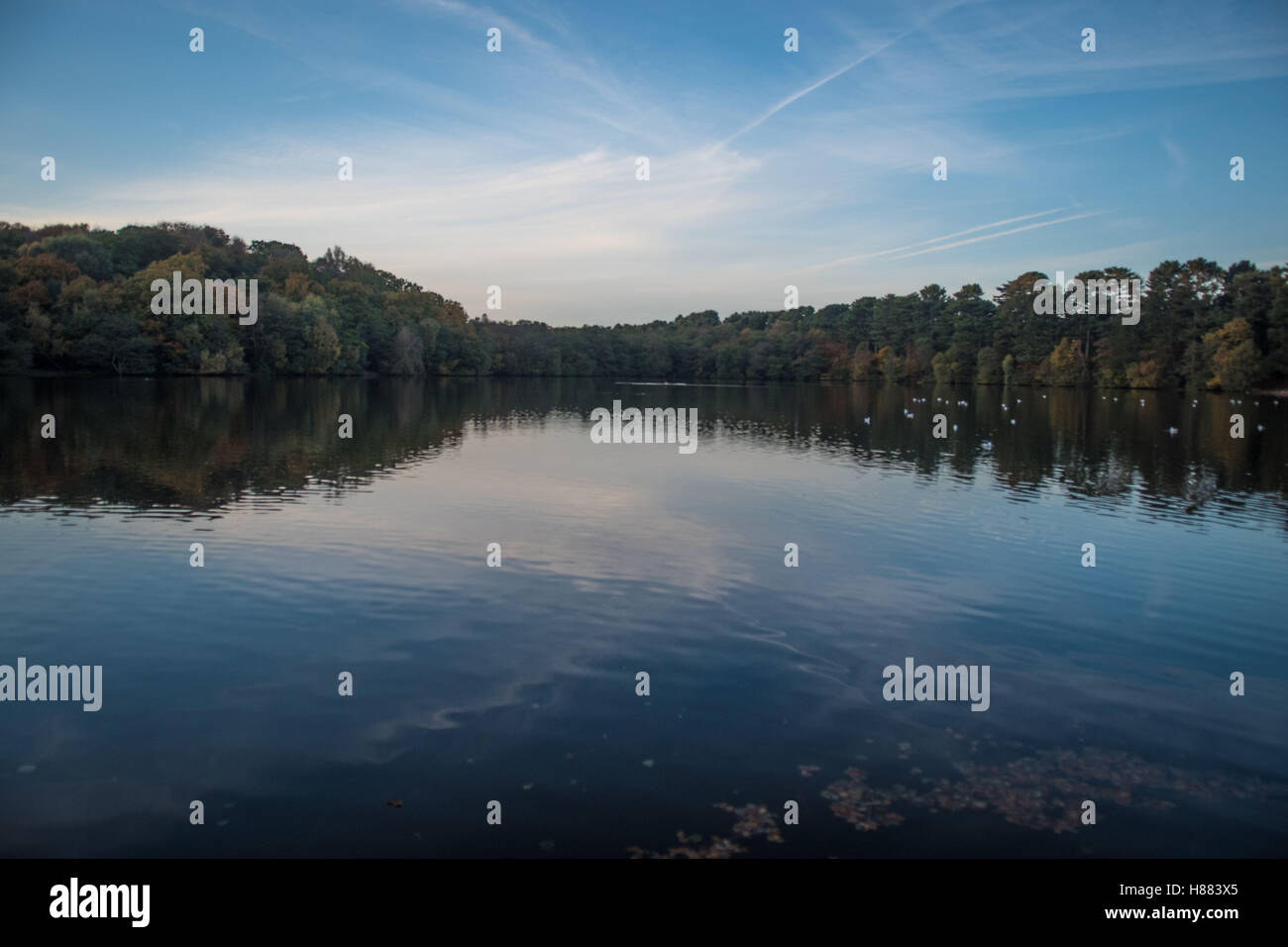 Autumn colours reflected in Keepers Pool, Sutton Park, Sutton Coldfield ...