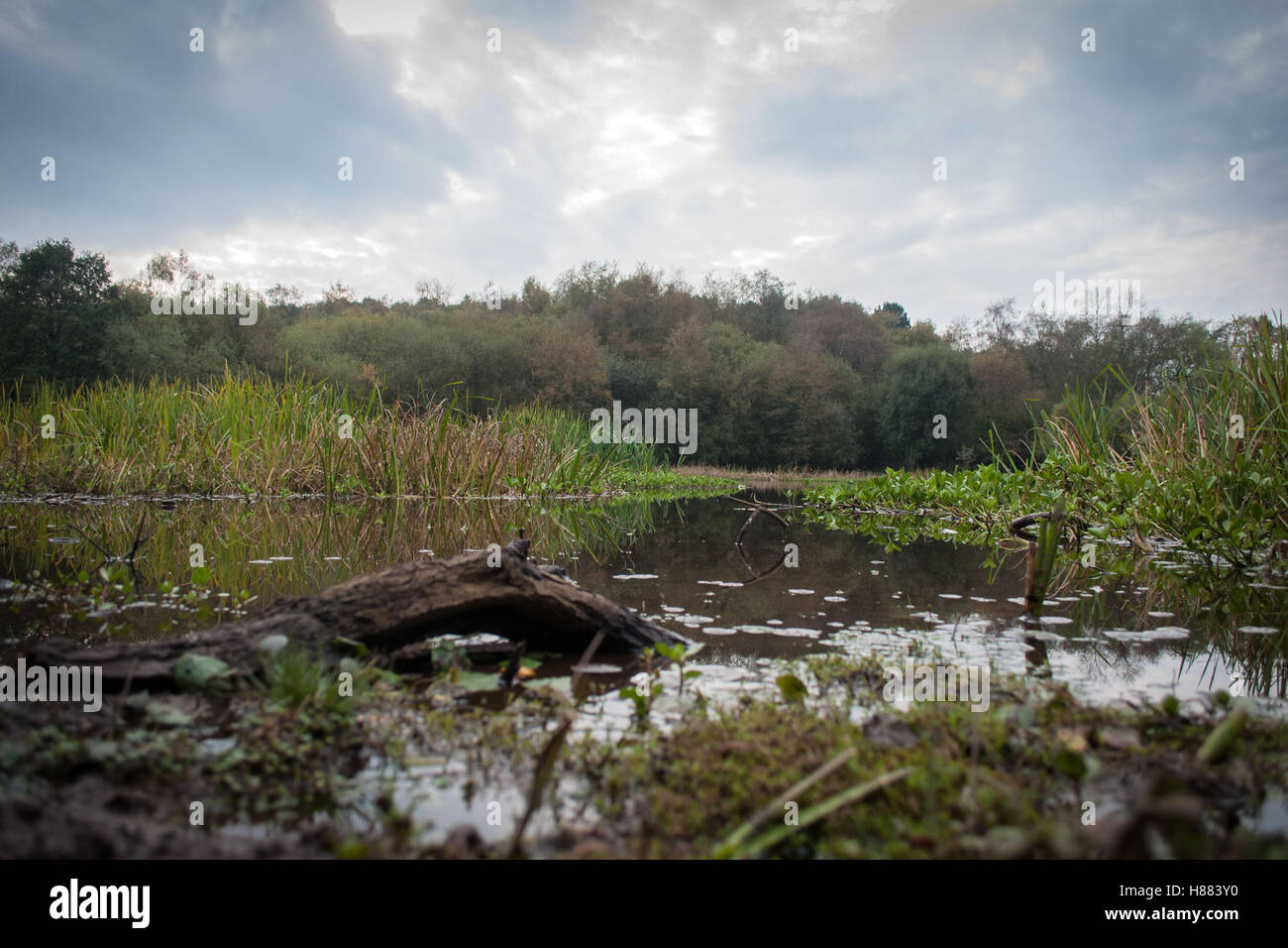 Bracebridge Pool High Resolution Stock Photography and Images - Alamy
