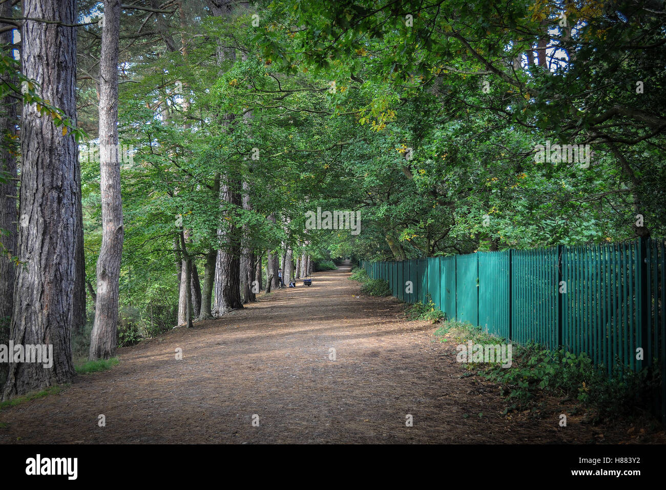 A path along the train line through Autumn colours in Sutton Park ...