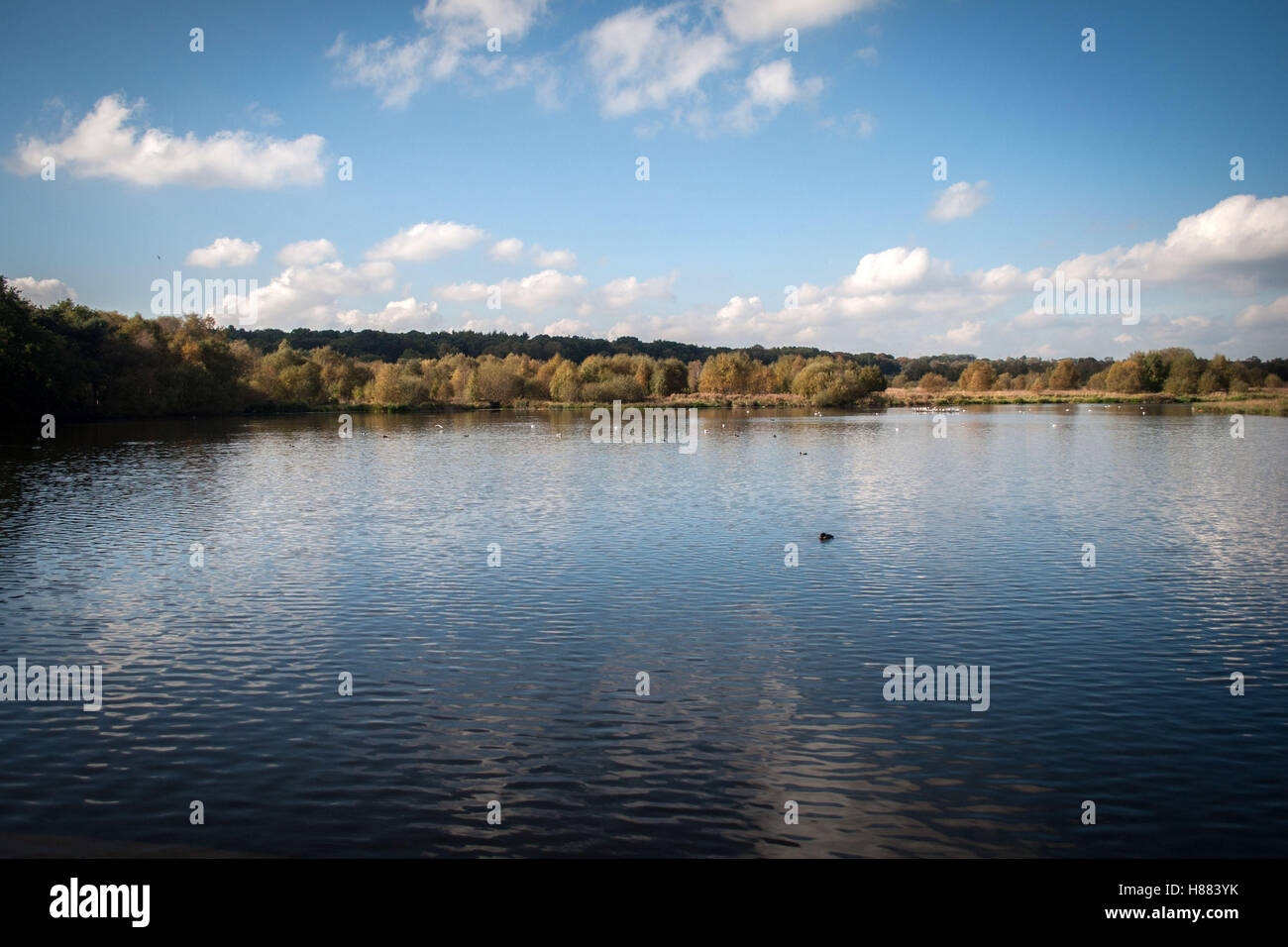 Longmoor lake hi-res stock photography and images - Alamy