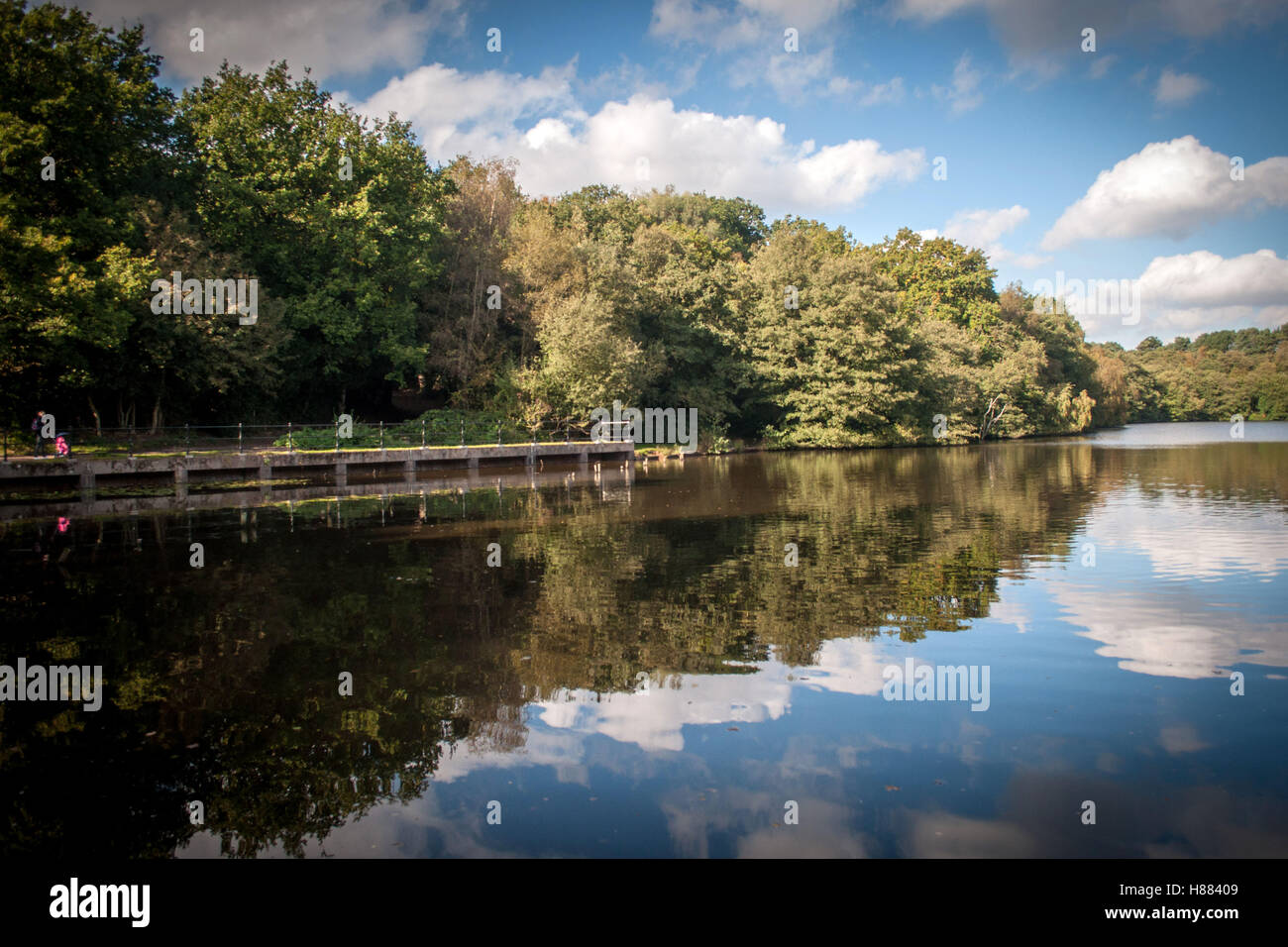 The sky reflected in Keepers Pool, Sutton Park, Sutton Coldfield, West ...