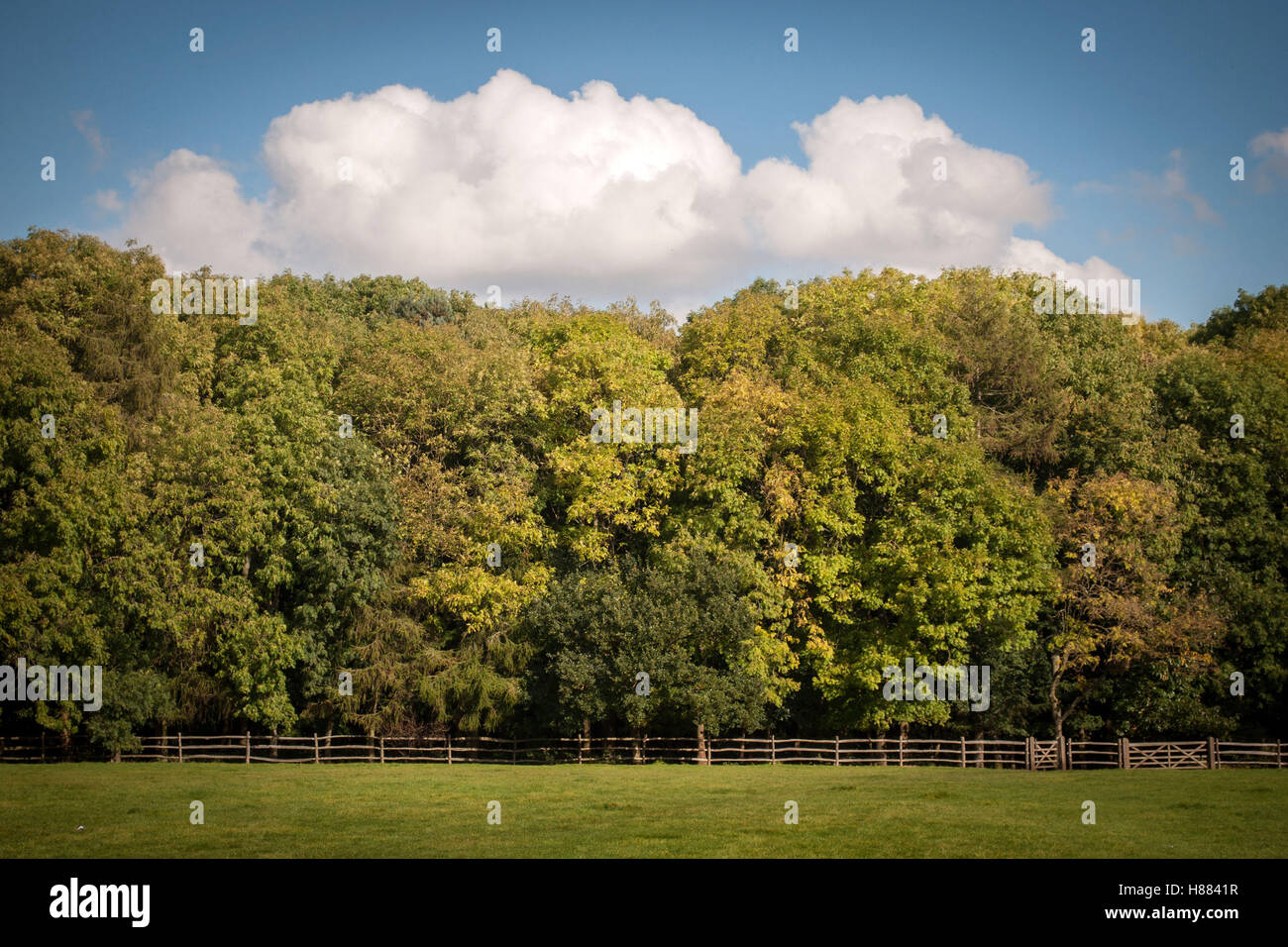 Autumn colours in Sutton Park, Sutton Coldfield, West Midlands, England ...