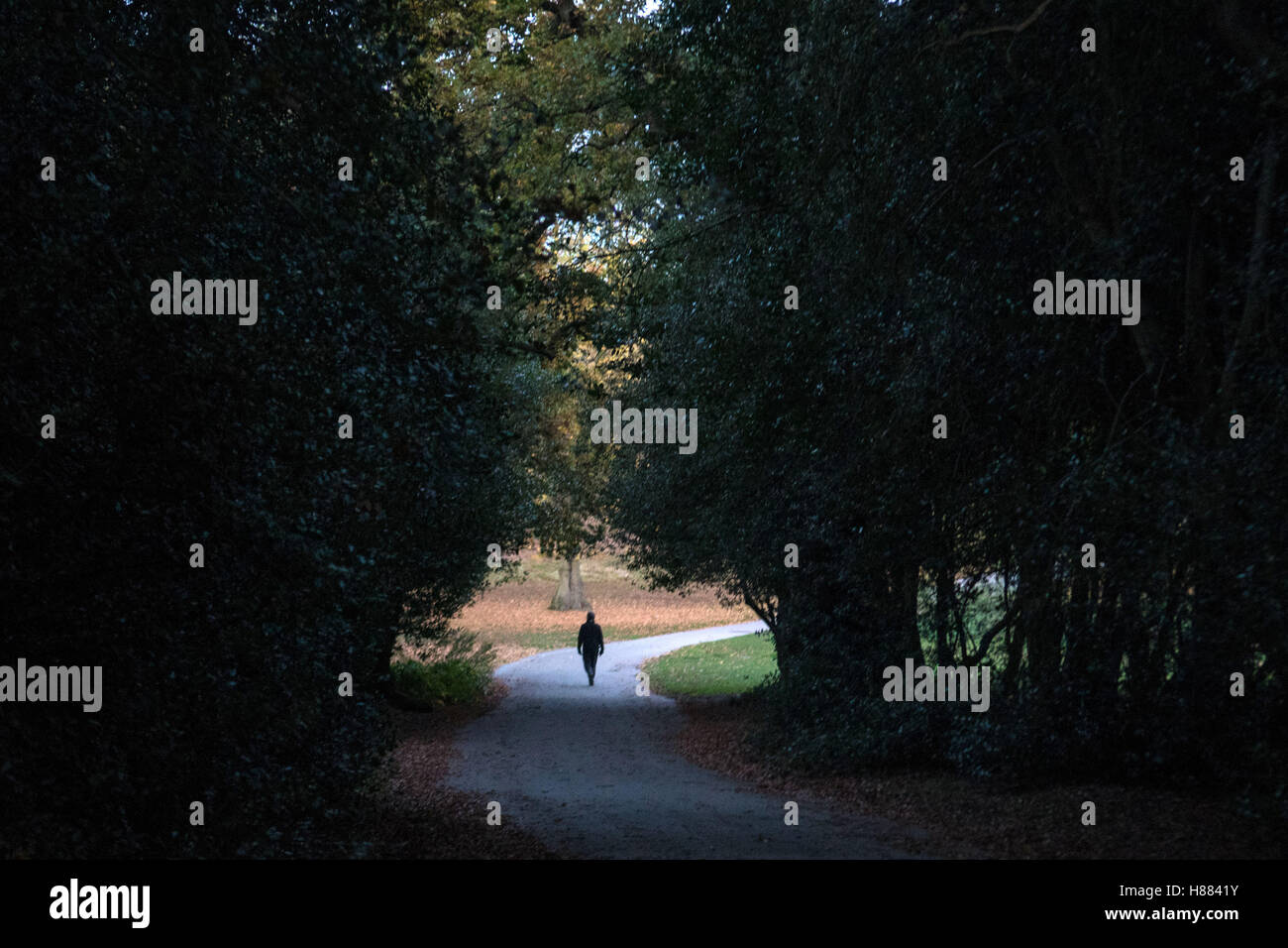 Lone walker in silhouette hi-res stock photography and images - Alamy