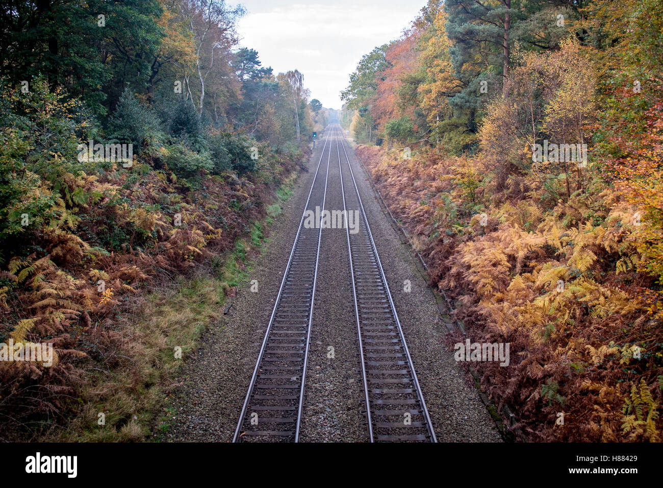 Sutton park line hi-res stock photography and images - Alamy