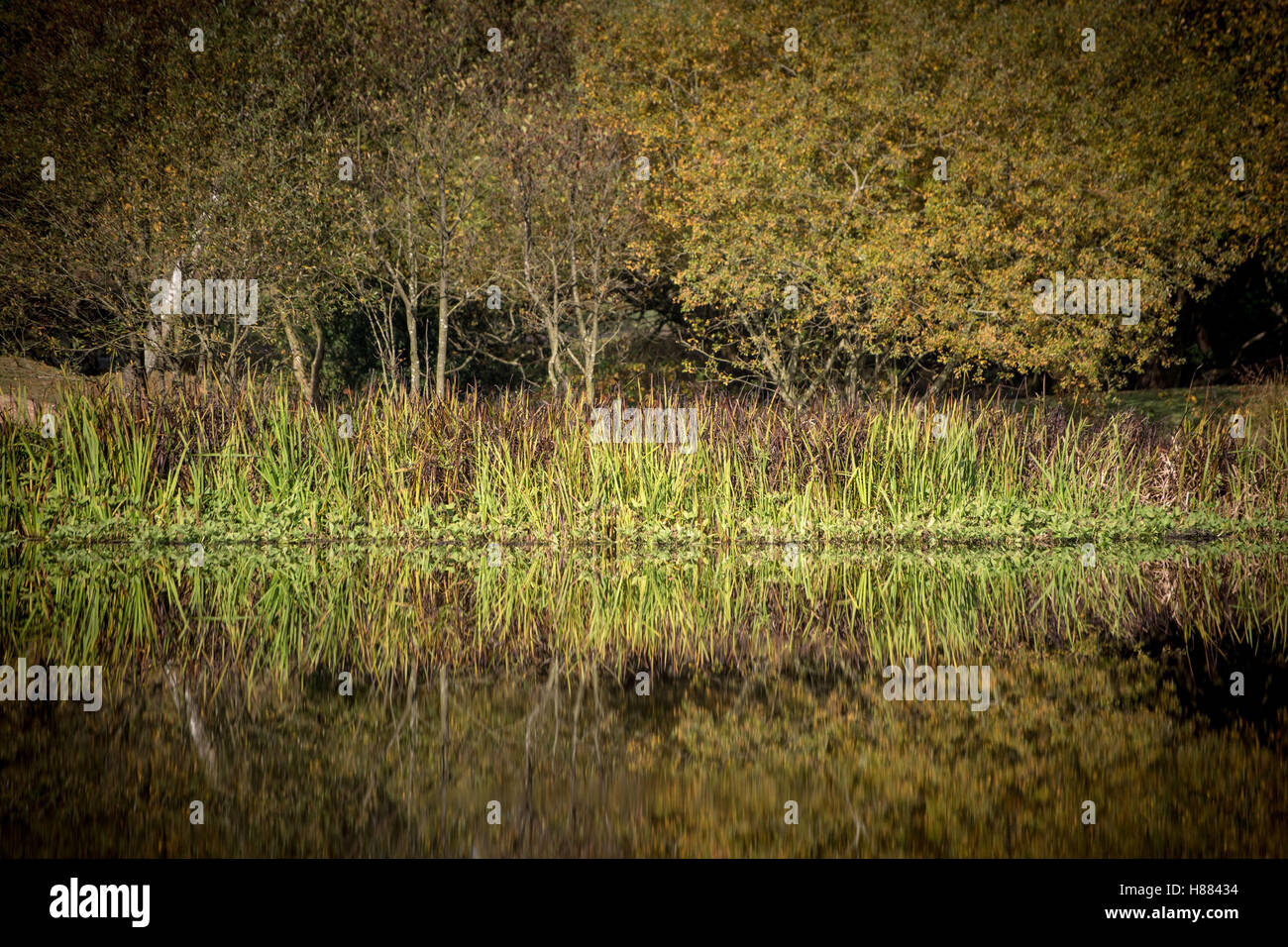 Bracebridge pool hi-res stock photography and images - Alamy