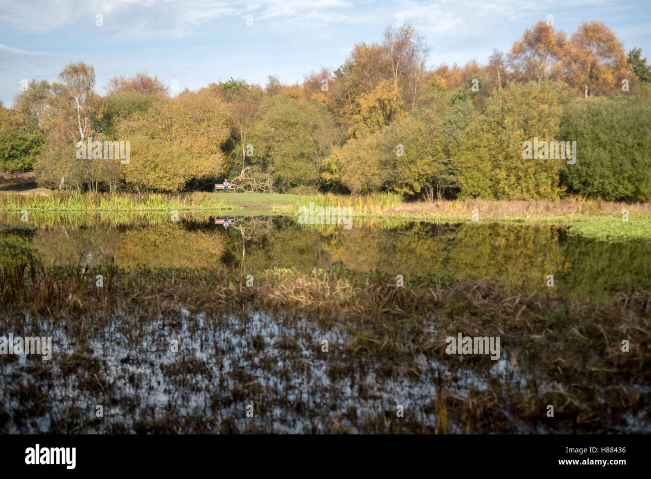 Little bracebridge hi-res stock photography and images - Alamy