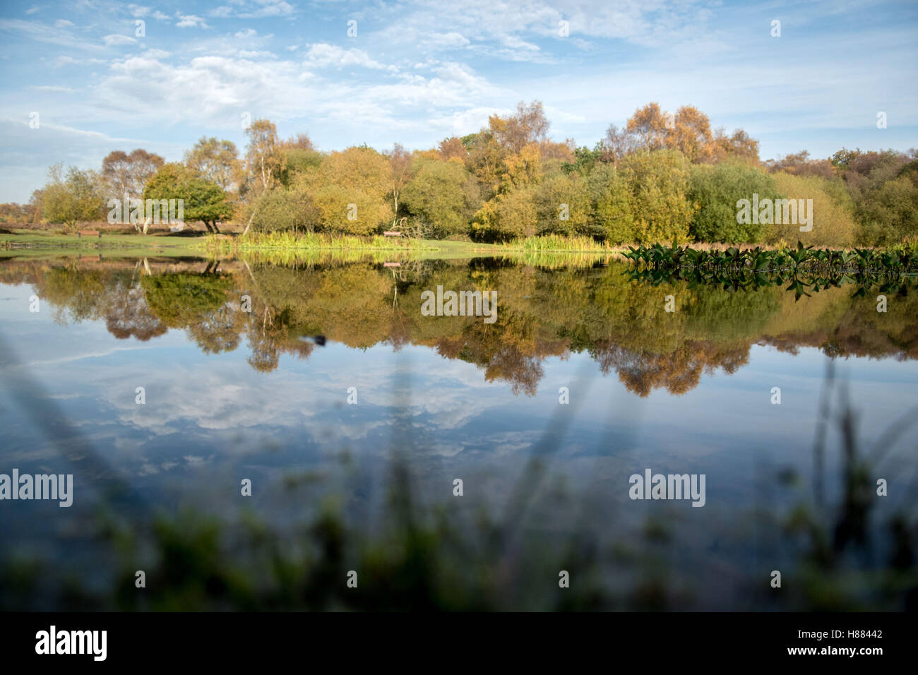 Bracebridge pool hi-res stock photography and images - Alamy