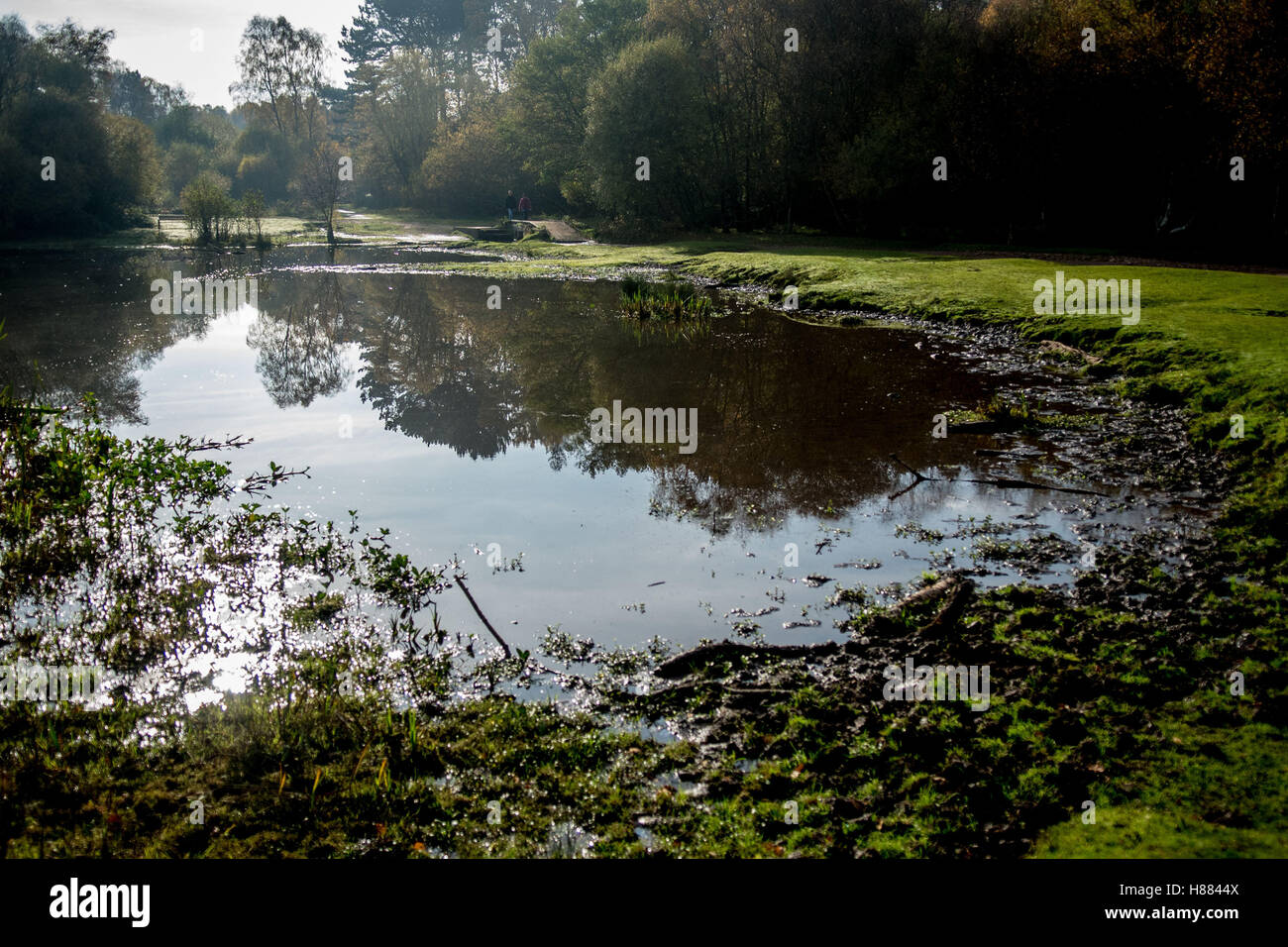 Autumn colours reflected in Little Bracebridge Pool in Sutton Park ...