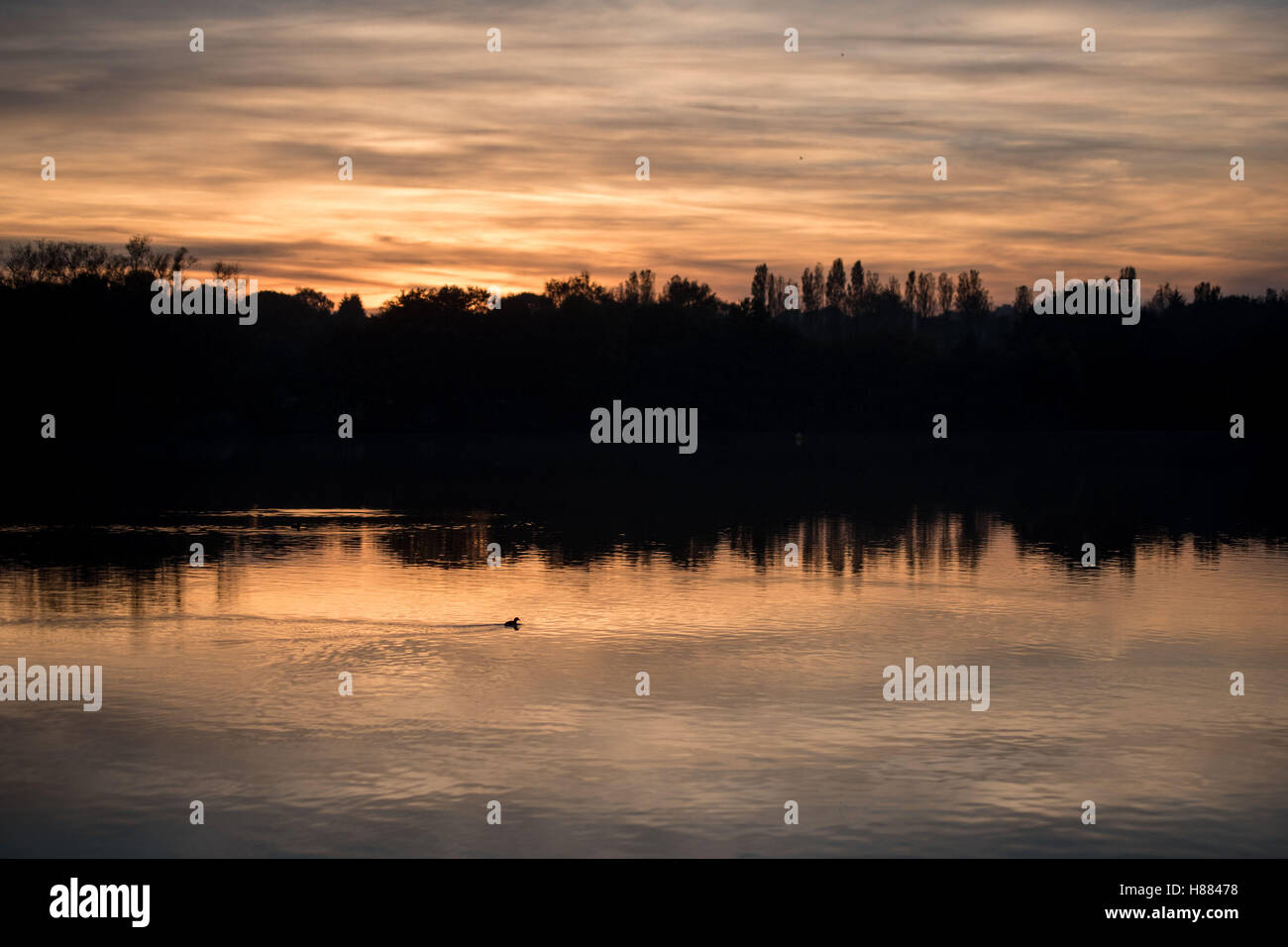 Sunset over Powells Pool in Sutton Park, Sutton Coldfield, West ...