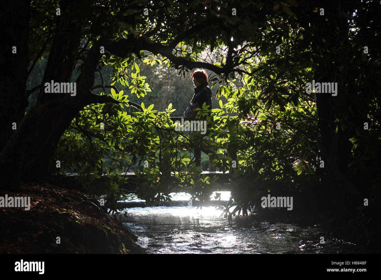 Water walker hi-res stock photography and images - Alamy