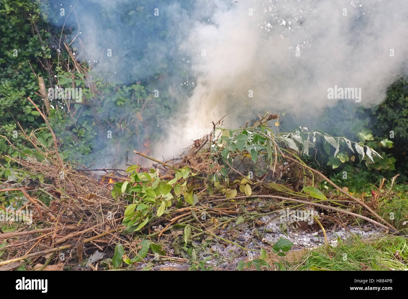A smoky bonfire Stock Photo - Alamy