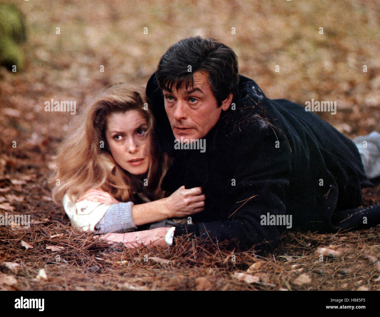 Der Schock High Resolution Stock Photography and Images - Alamy