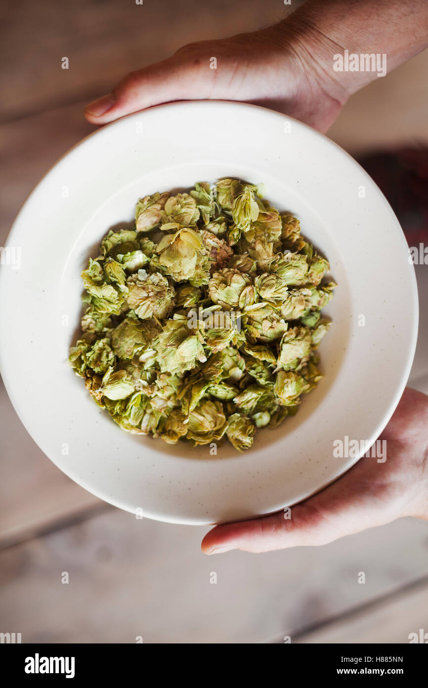 Industrial hops hi-res stock photography and images - Alamy