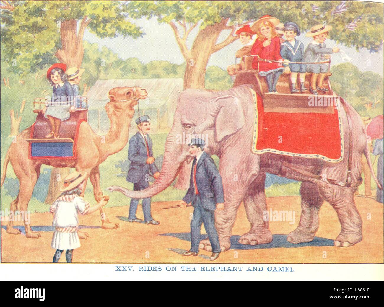 Camel howdah hi-res stock photography and images - Alamy