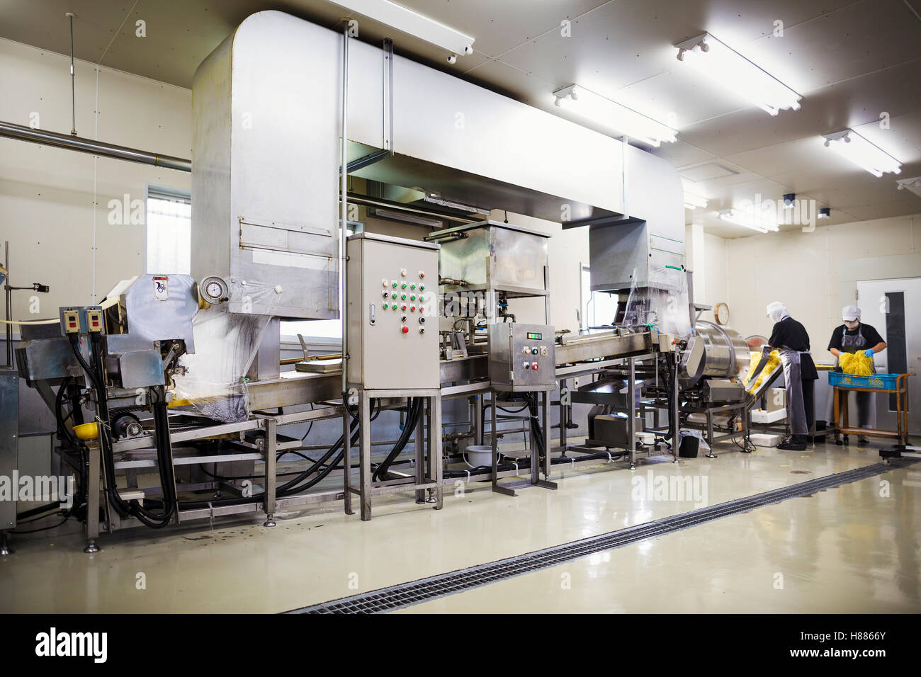 Worker in a factory producing Soba noodles, checking the flow of fresh ...