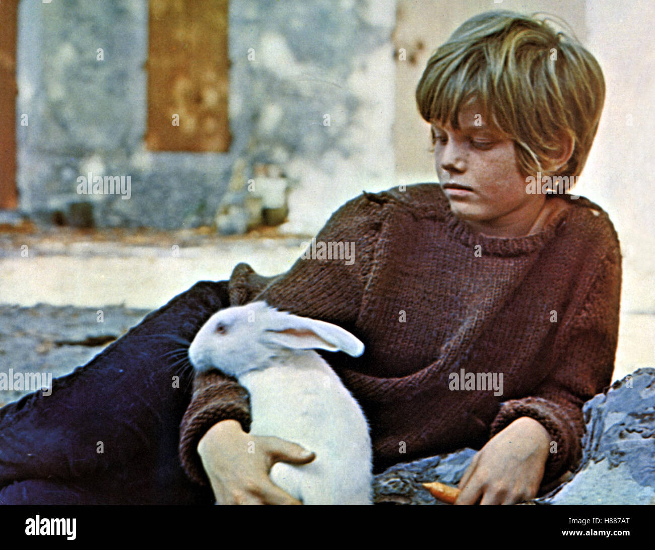 Die goldene Robbe, (THE GOLDEN SEAL) USA 1983, Regie: Frank Zuniga ...