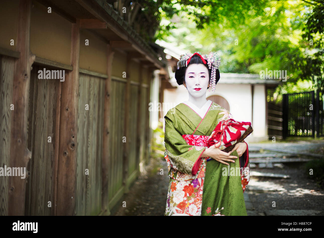 A woman dressed in the traditional geisha style, wearing a kimono and ...