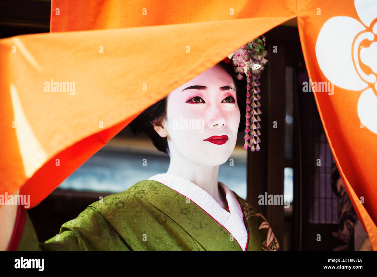 A woman dressed in the traditional geisha style, wearing a kimono ...