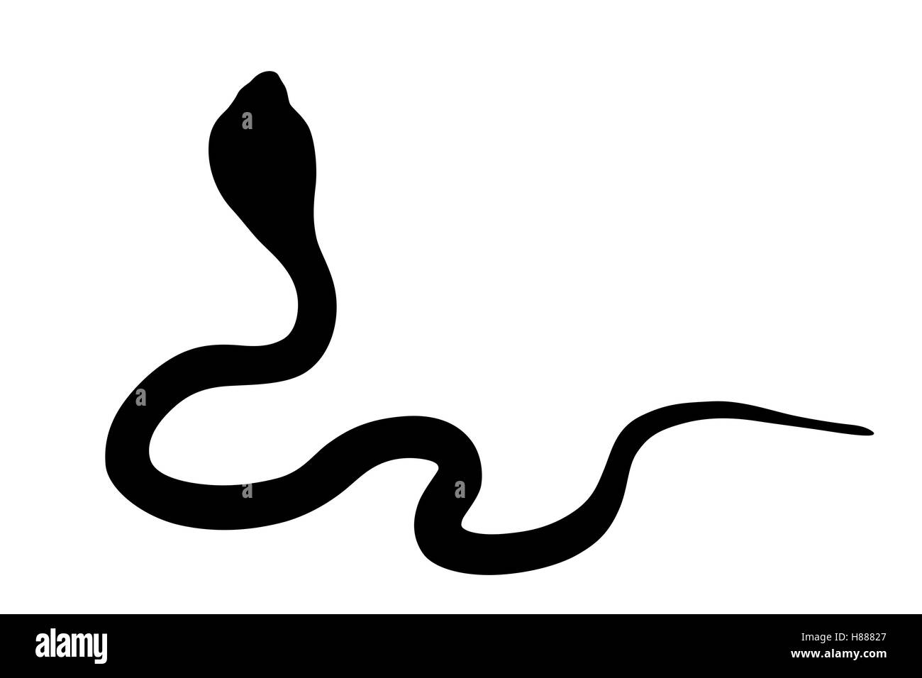 King cobra Black and White Stock Photos & Images - Alamy