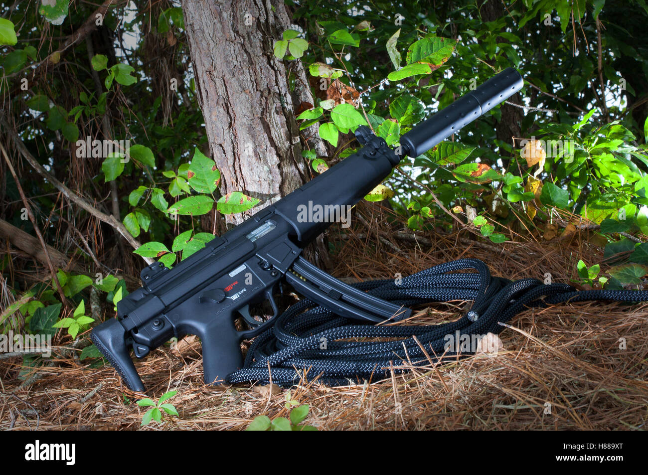 Short barrel rifle hi-res stock photography and images - Alamy