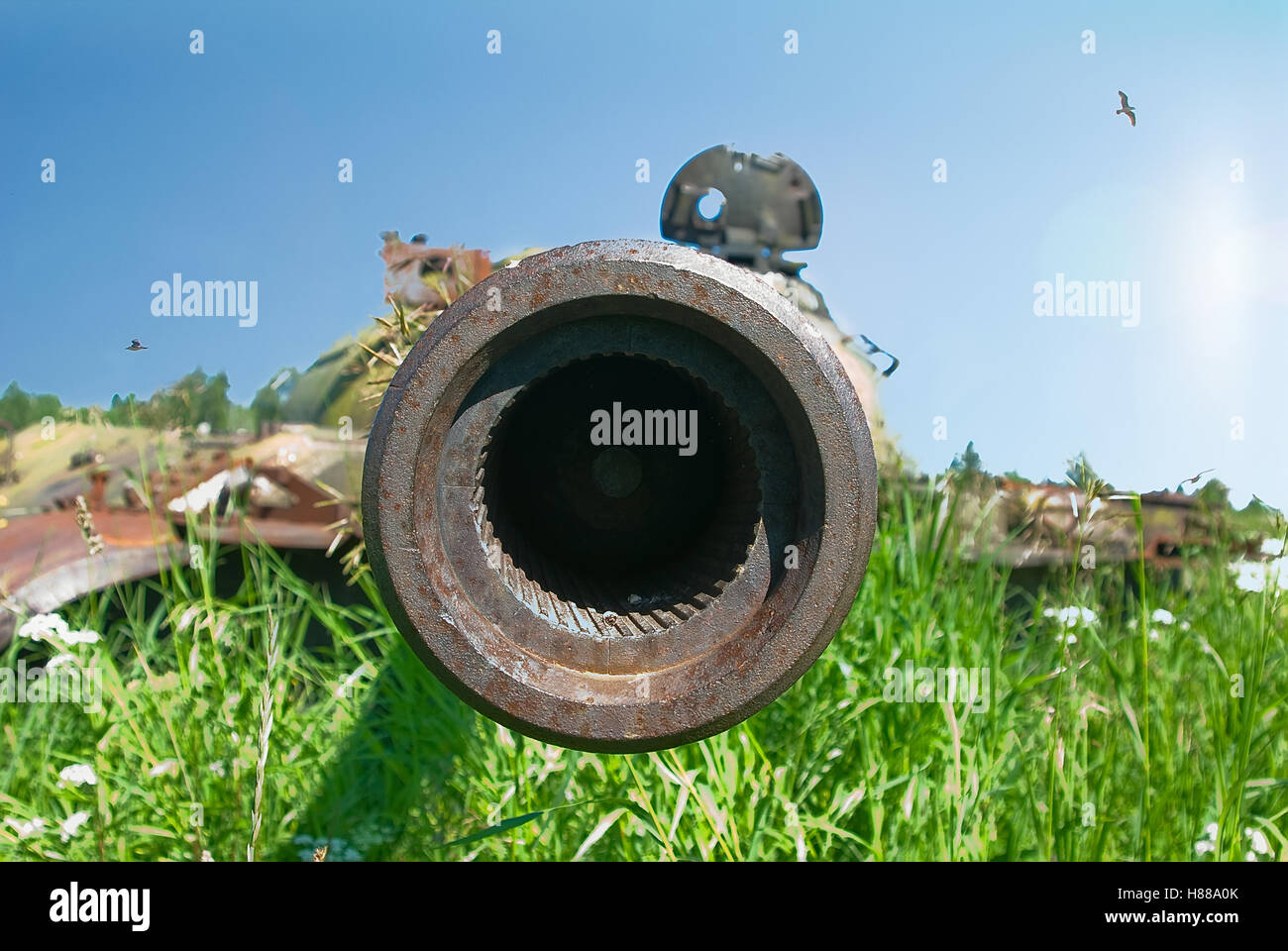 A series: the tank – a target on military range Stock Photo - Alamy
