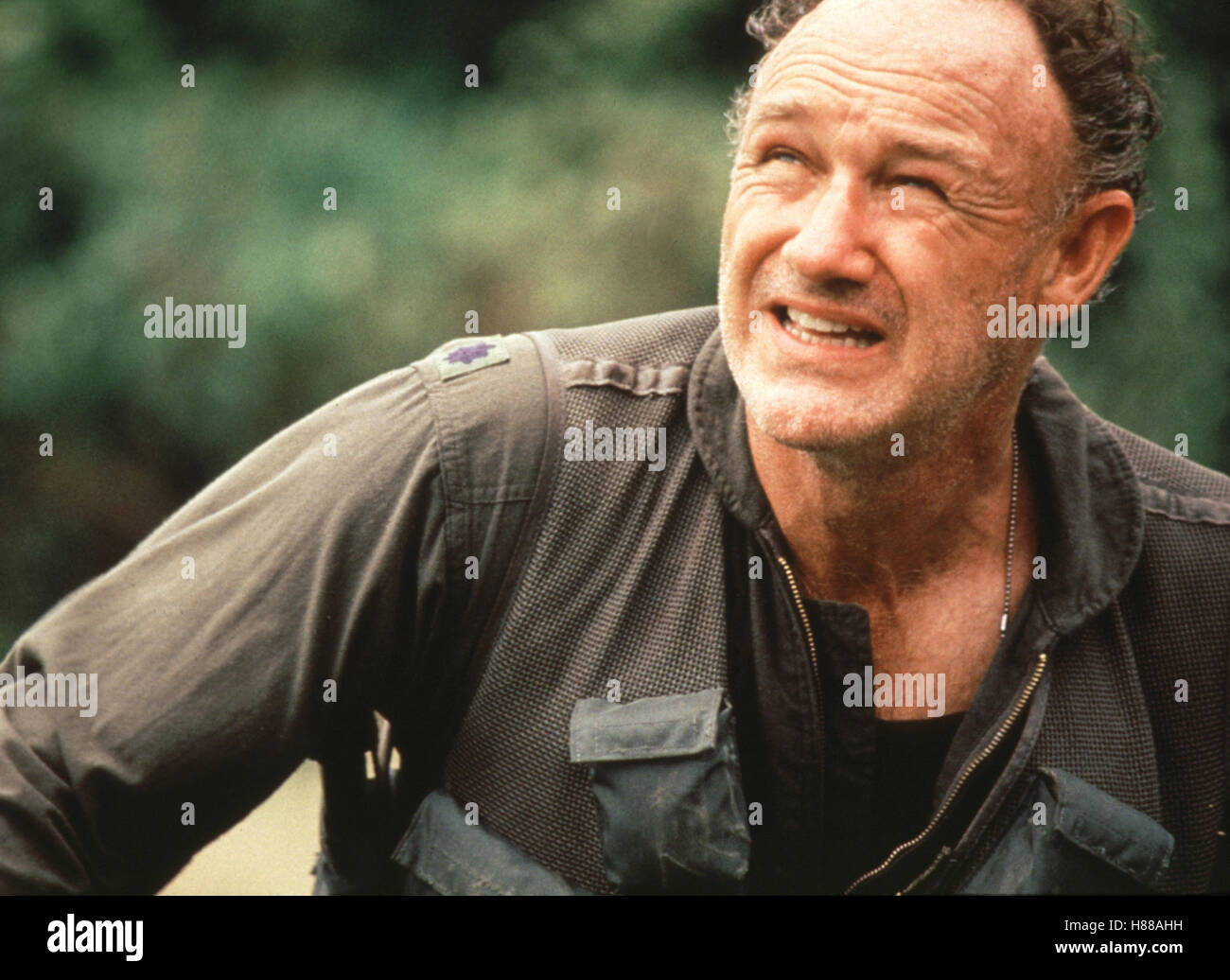 BAT 21 - Mitten im Feuer, (BAT-21) USA 1987, Regie: Peter Markle, GENE ...