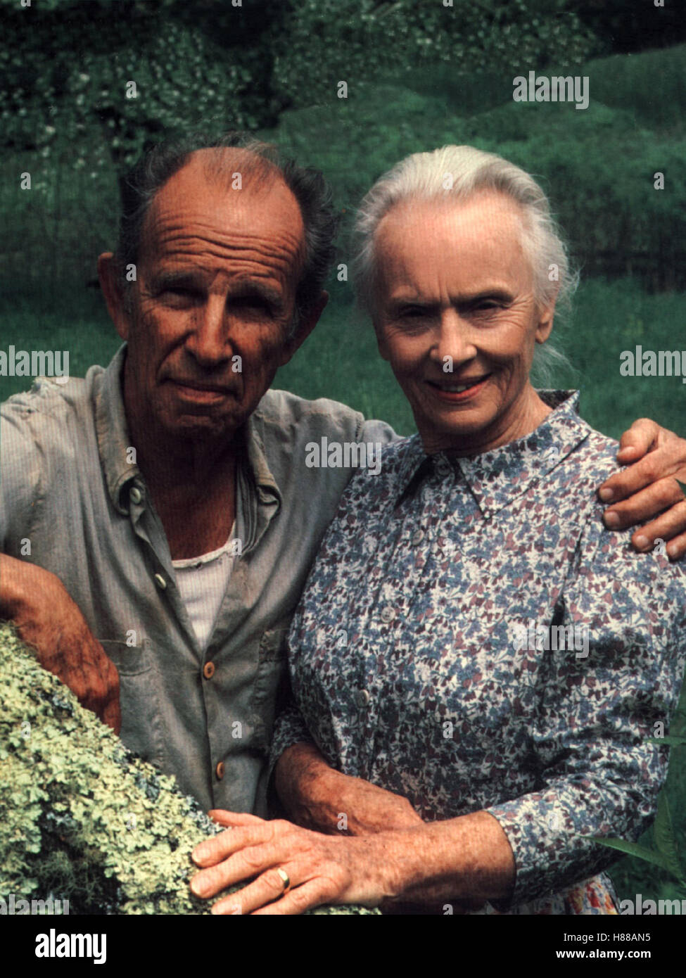 Jud taylor hi-res stock photography and images - Alamy