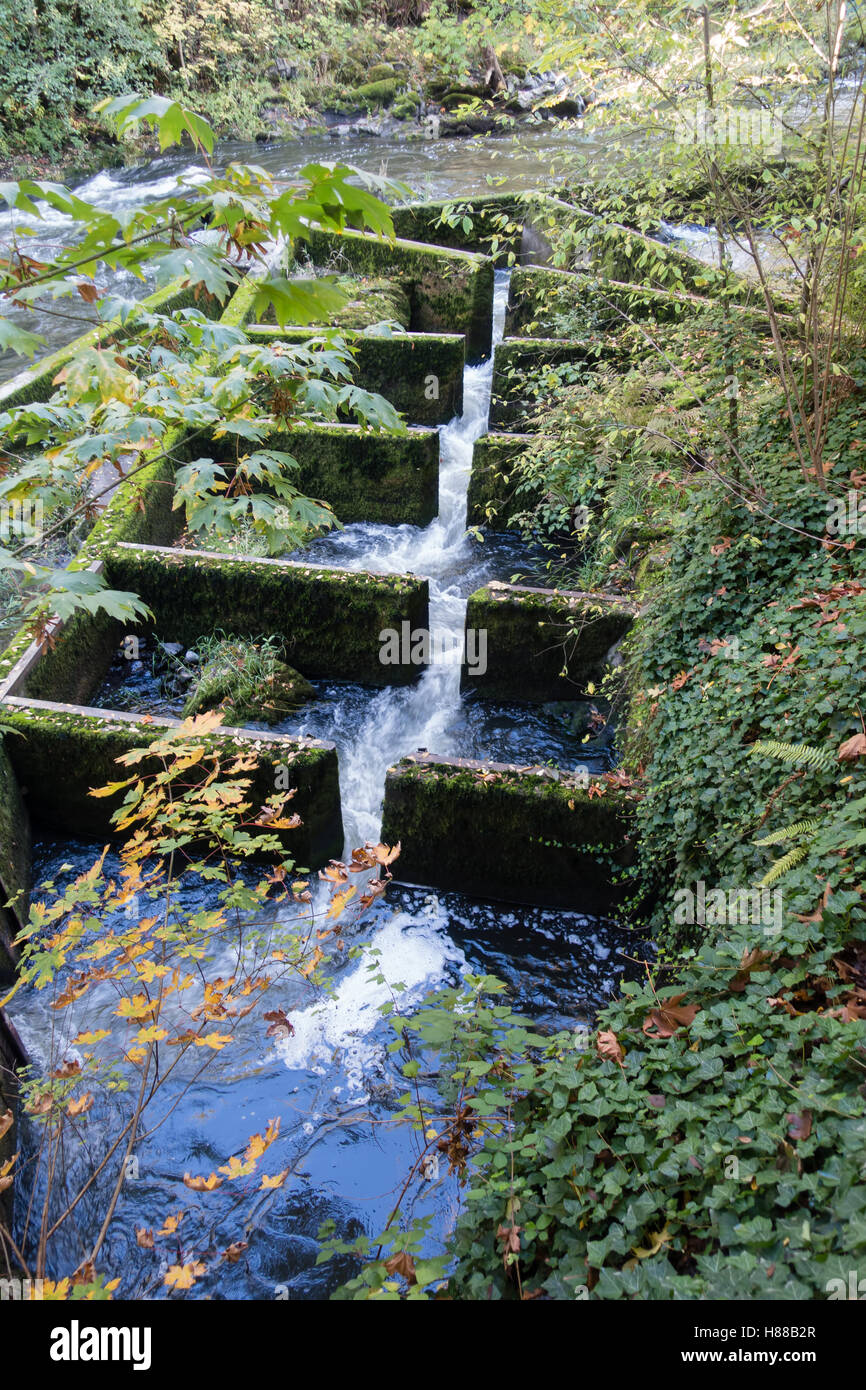 Fish ladder hi-res stock photography and images - Alamy