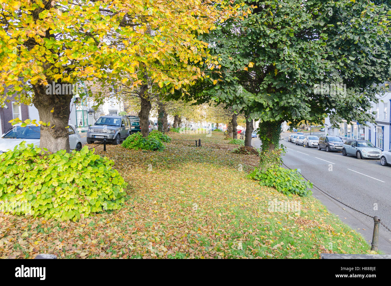 Grass embankment hi-res stock photography and images - Alamy