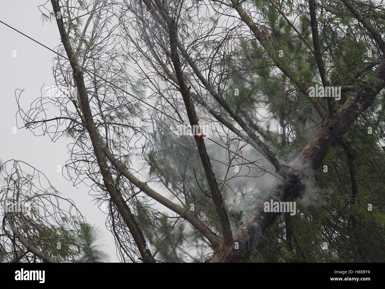Power line down hi-res stock photography and images - Alamy