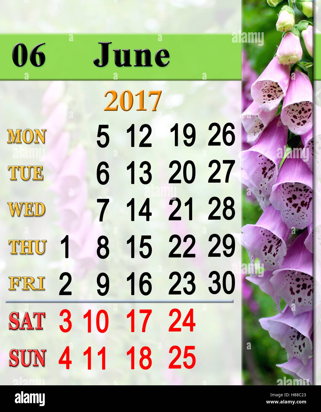 calendar for June with flowers of flowers of lilac bluebells Stock ...