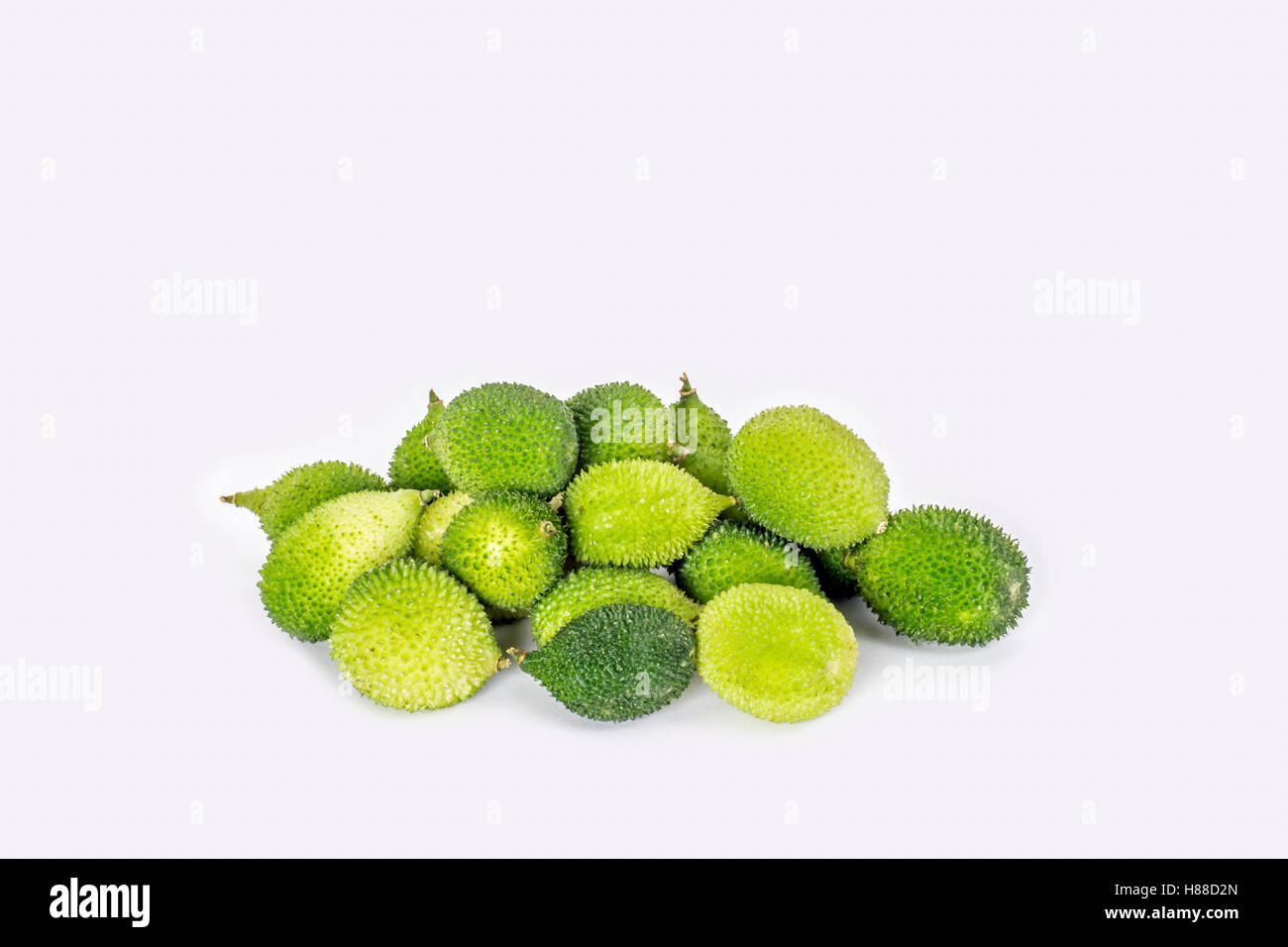 Spiny gourd or Kantola (Momordica dioica) on white Stock Photo - Alamy
