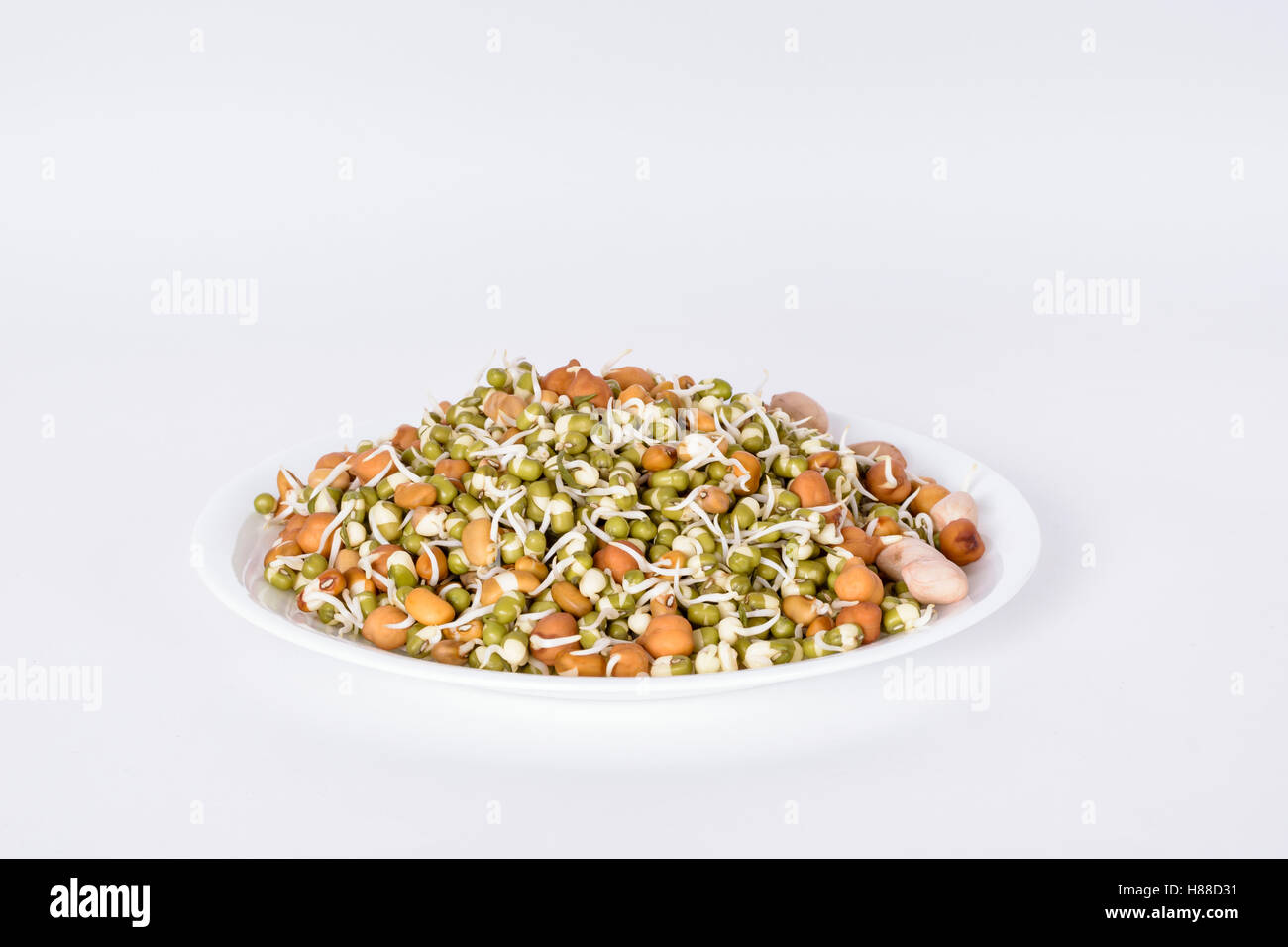 Summer sprouts hi-res stock photography and images - Alamy