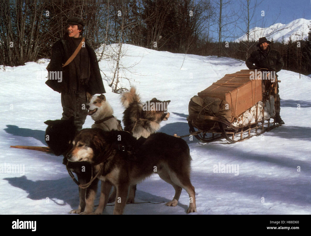 White fang movie hi-res stock photography and images - Alamy