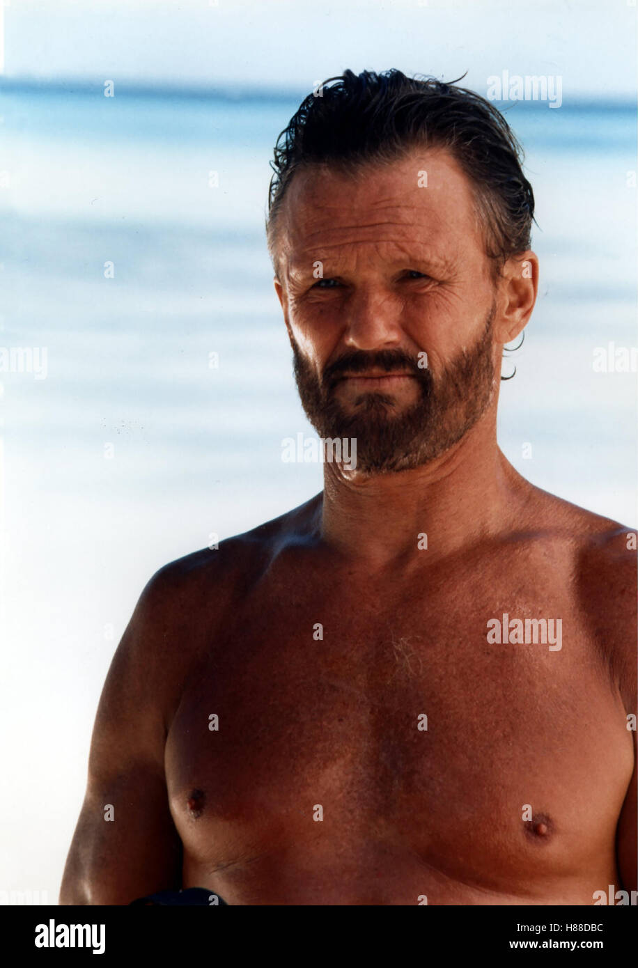 David irving hi-res stock photography and images - Alamy