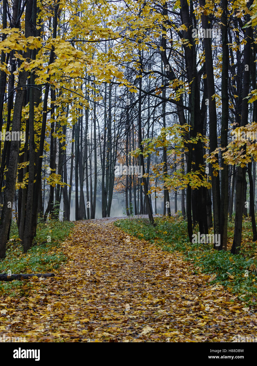 Autumn landscape with a lane in the park Stock Photo - Alamy